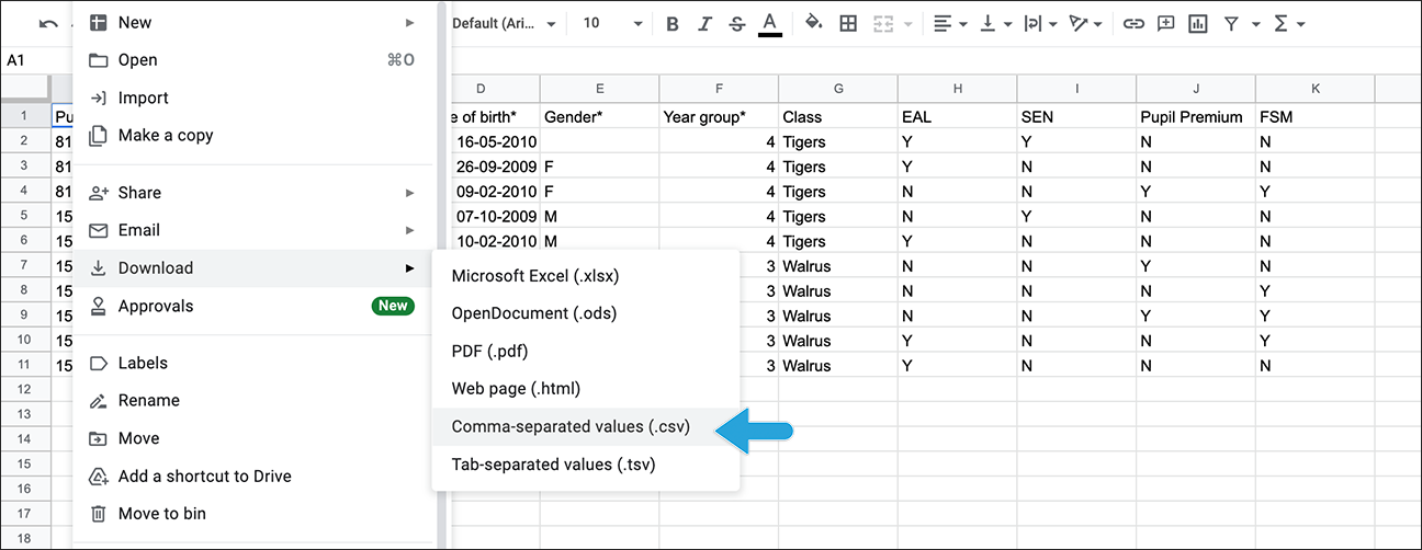 How to import multiple pupils and classes at once